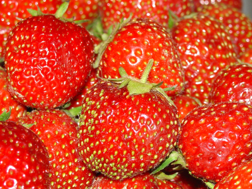 Zemenes | laukudzive.lv