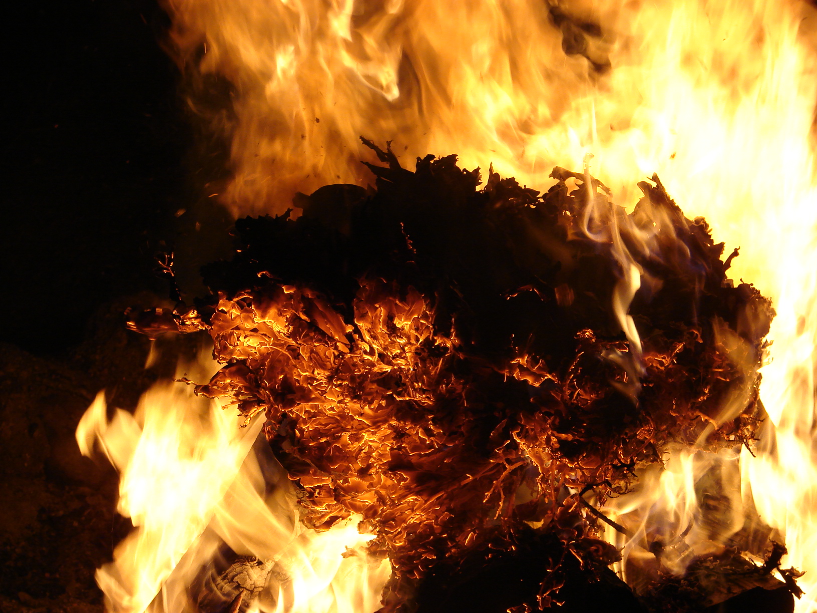 Festivāls VIA BALTICA notiks no 22. Līdz 31. augustam | laukudzive.lv